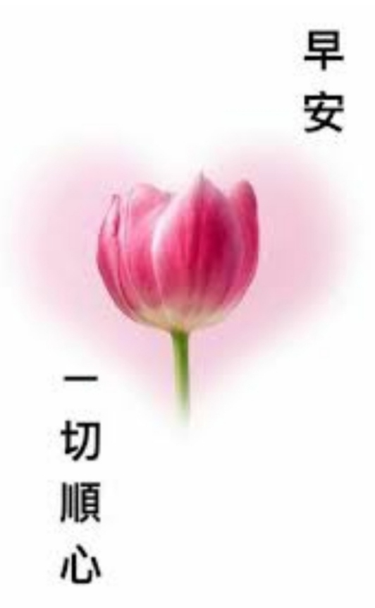早晨祝福順心如意 e123長青網 長者服務及老人院資訊